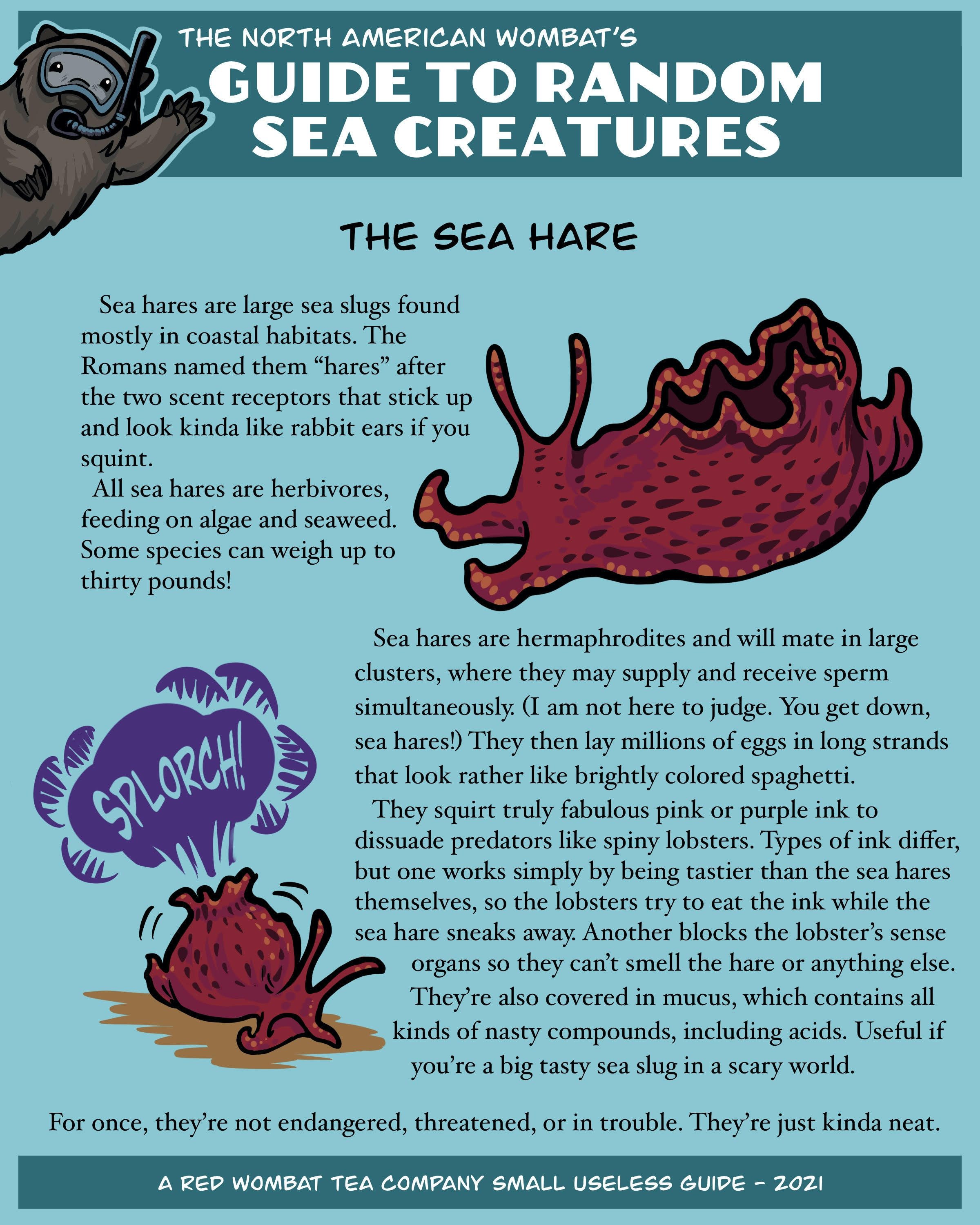 The North American Wombat’s Guide to Random Sea Creatures